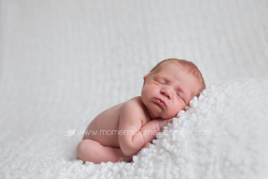 Sweet Ellie ~ Hamilton Newborn Photography | Moments on the Blog
