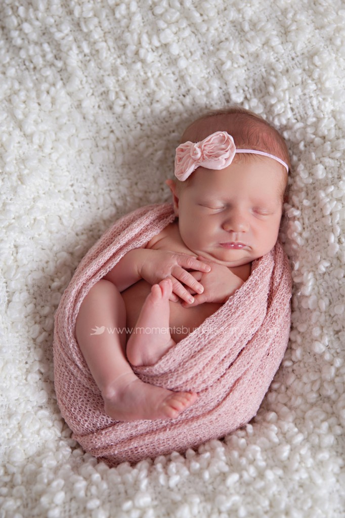Sweet Ellie ~ Hamilton Newborn Photography | Moments on the Blog