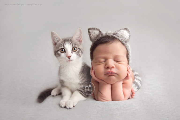 Kitten + Baby = Cute Overload | Moments on the Blog